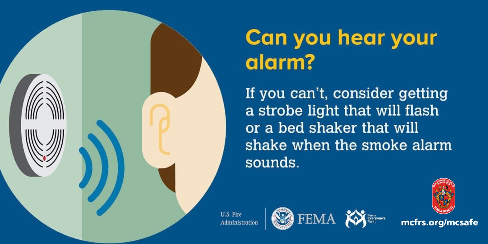 Why We Stay Cool When Fire Alarms Ring: Unpacking Human Behavior ...